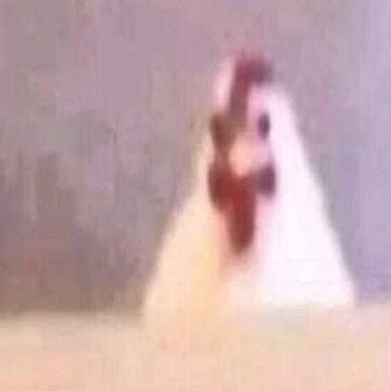 "Pollo" Sticker for Sale by Shermanies | Redbubble