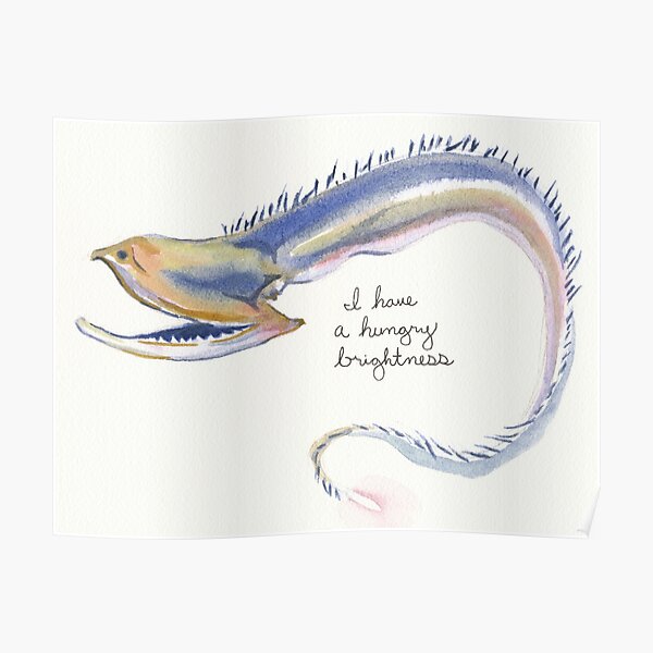 "Gulper Eel" Poster for Sale by whalefern | Redbubble