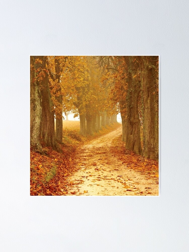 "Pathway" Poster for Sale by Hoochinator | Redbubble