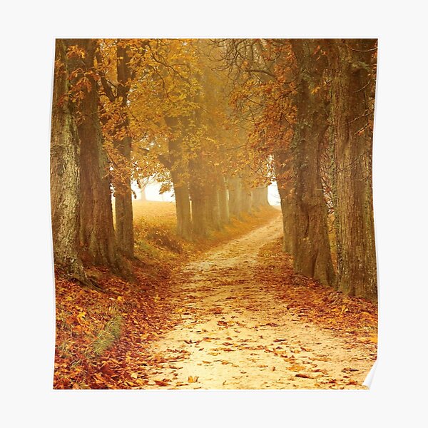 "Pathway" Poster for Sale by Hoochinator | Redbubble