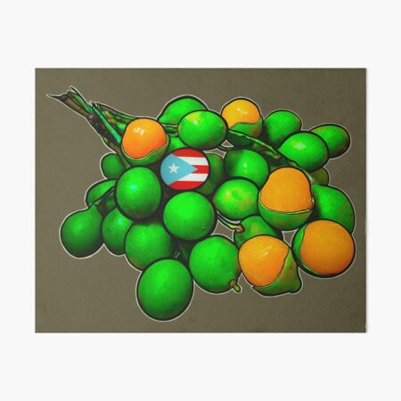 "Puerto Rican Flag Quenepas Boricua " Art Board Print by liamaris ...