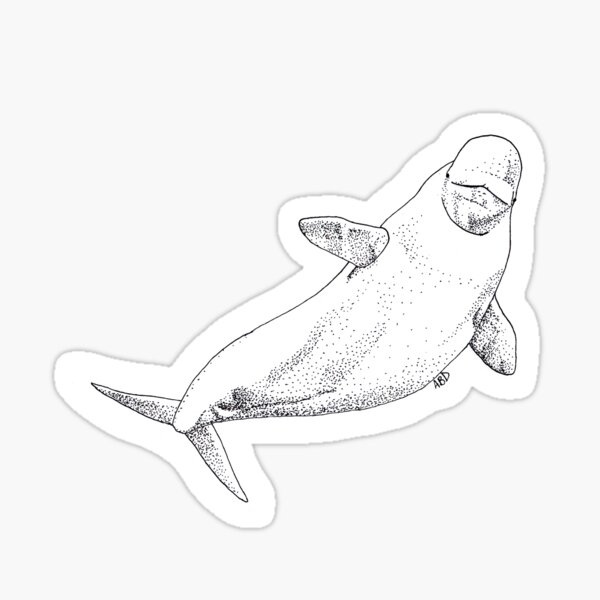 "Beluga" Sticker for Sale by amandadenneyart | Redbubble