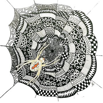 "Zentangle Spider Web" Art Print for Sale by ruchyum | Redbubble
