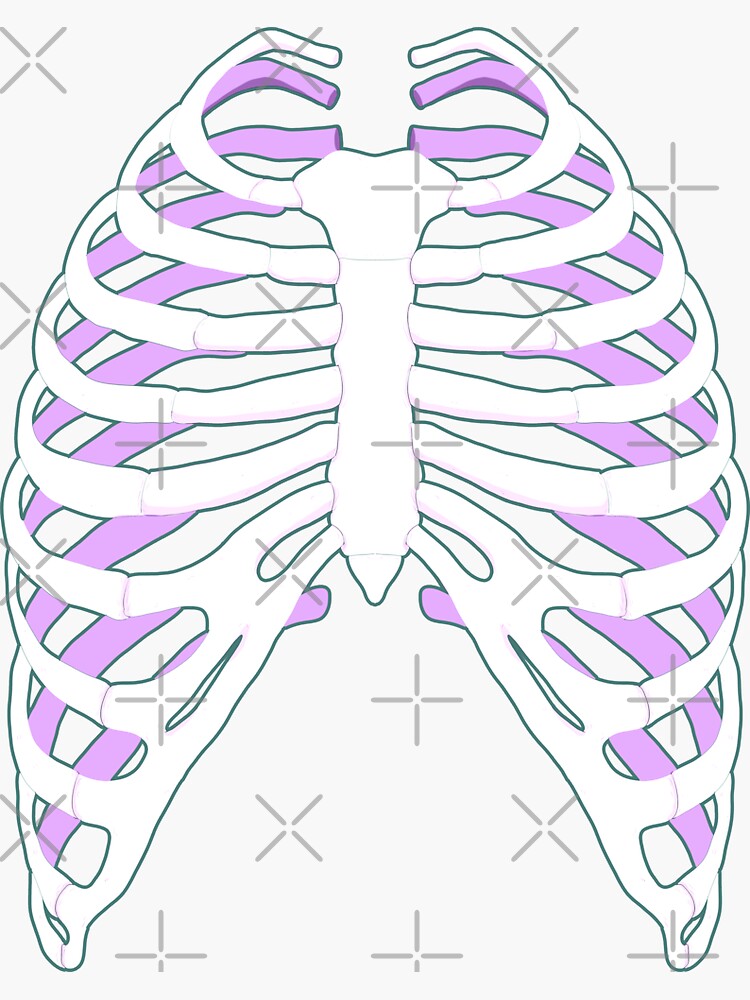 "Cute Rib Cage Halloween Retro Pattern" Sticker for Sale by SD ...