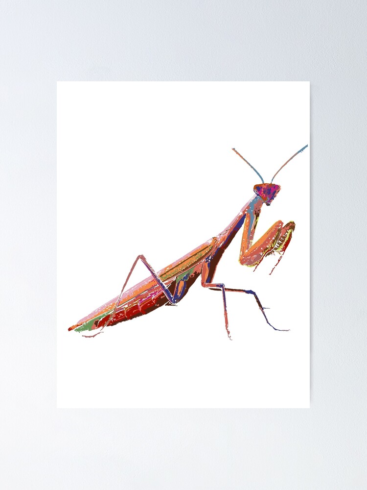 "Colorful Praying Mantis" Poster by antonlulgjuraj | Redbubble