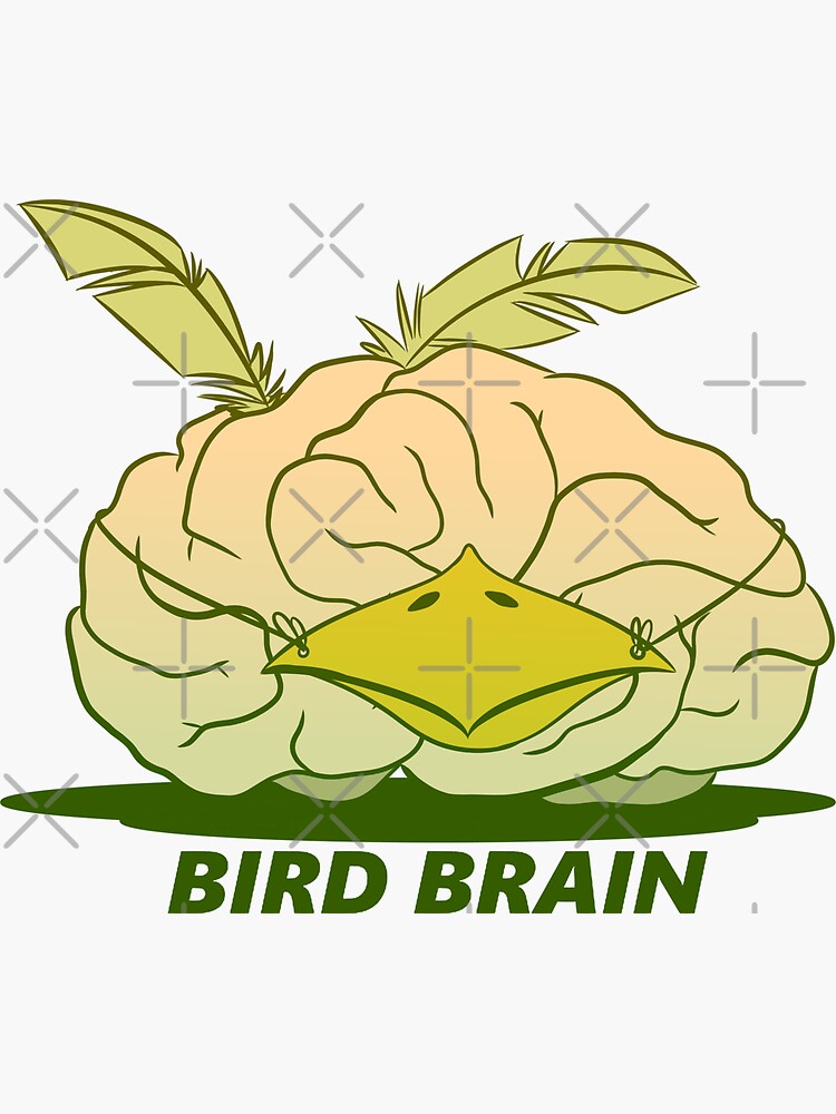 "Brain Teaser: Bird Brain" Sticker for Sale by Zeragii | Redbubble