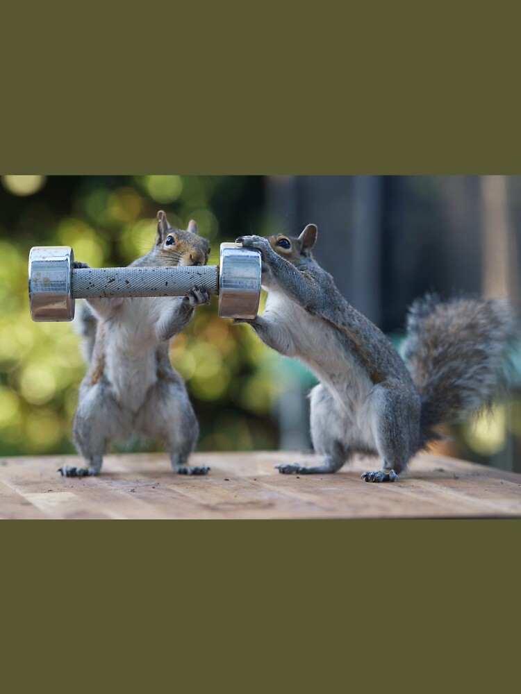 Jacked Squirrel