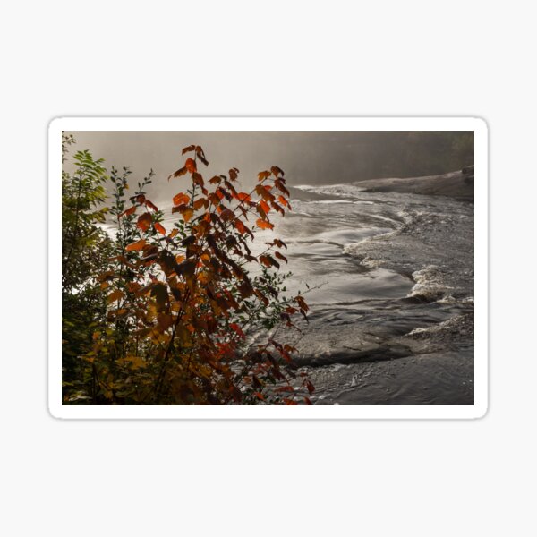 "Riverbank Color - " Sticker for Sale by GeorgiaM | Redbubble