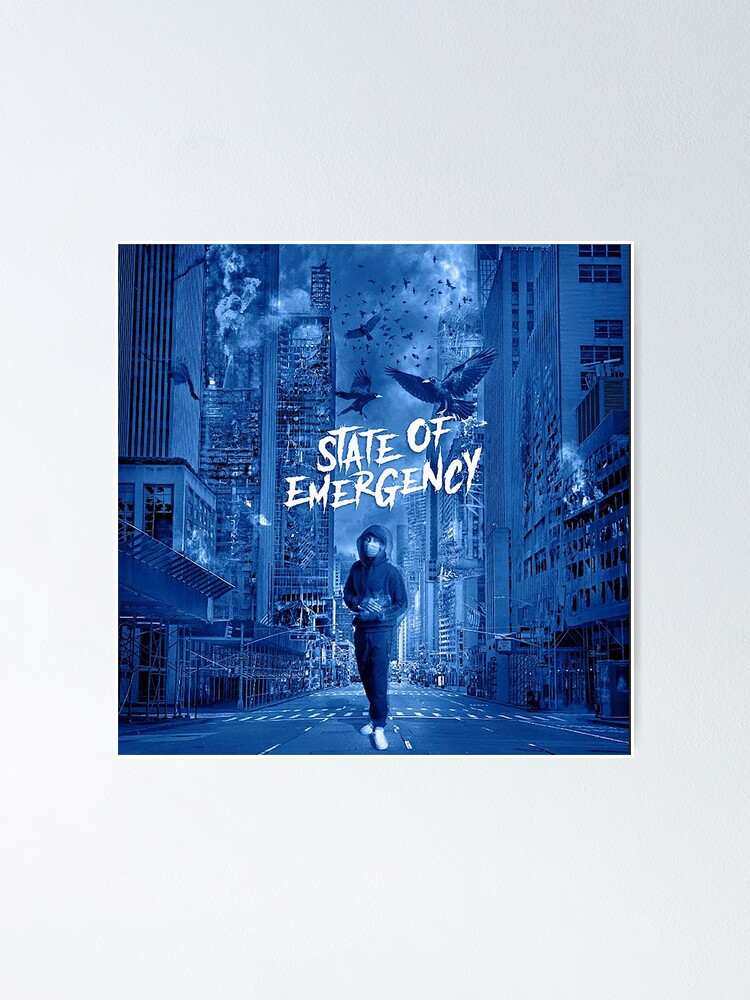 "state of emergency" Poster for Sale by donaldblock69 | Redbubble