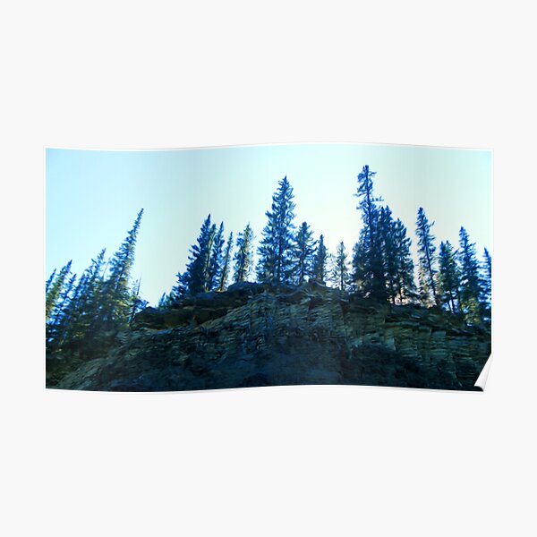 "Evergreen Trees on Rocky Overhang, Jasper National Park, Alberta ...