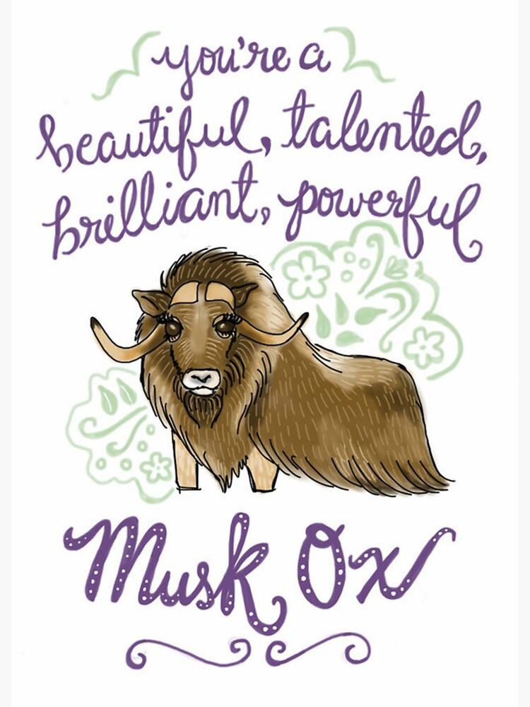 "Beautiful musk ox" Sticker by cocainecoleman | Redbubble