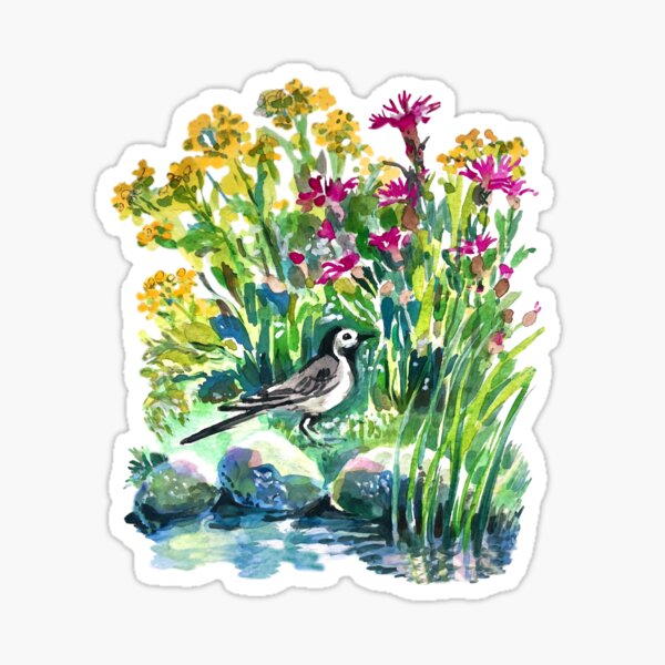 "Wagtail" Sticker for Sale by Lemontreeart63 | Redbubble