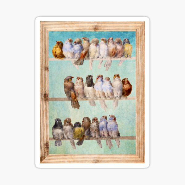 "Birds Birds Birds" Sticker by DVerissimo | Redbubble