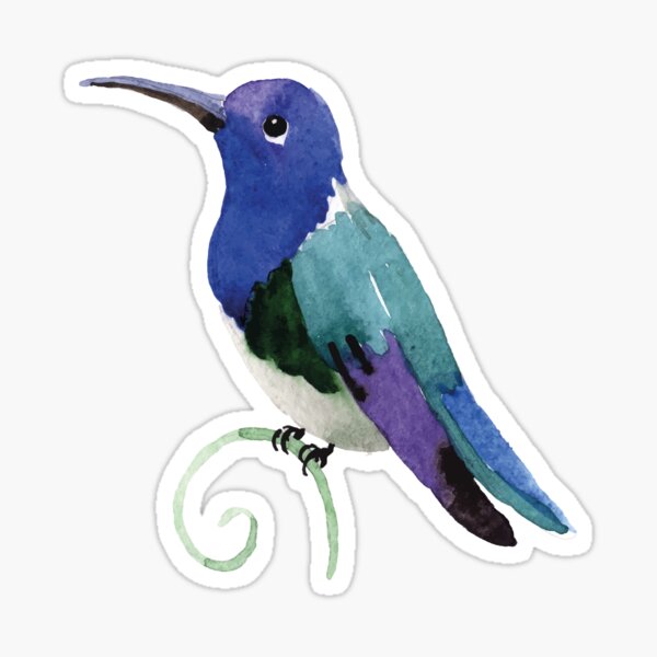 " Colibri Watercolor" Sticker for Sale by simoxmark615 | Redbubble