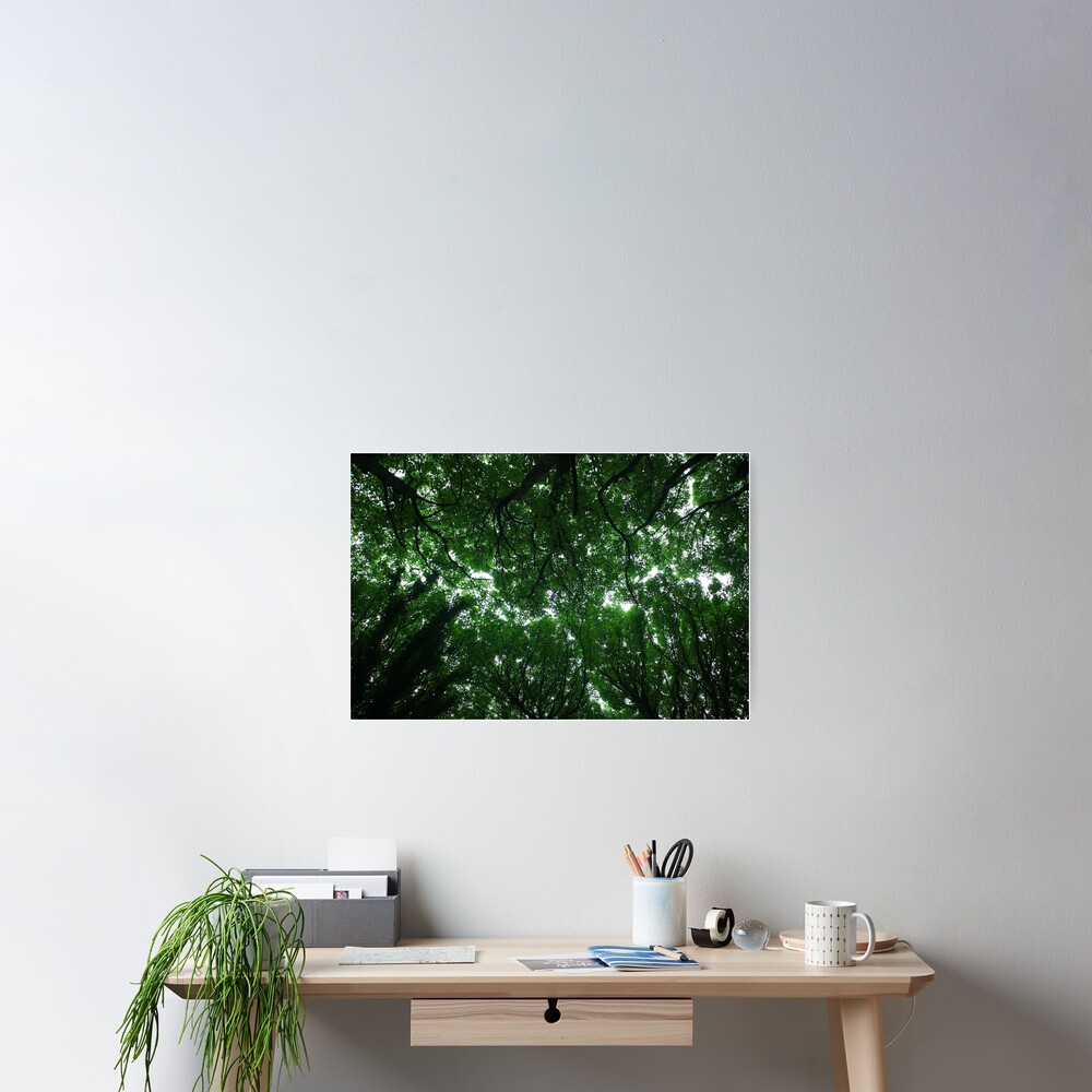 "Tree Ceiling" Poster by RandomRawPrints | Redbubble