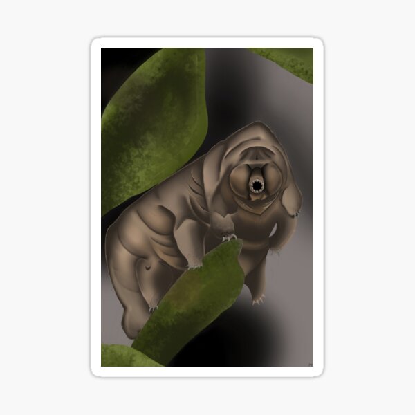 "Tardigrade" Sticker for Sale by Jaylitt | Redbubble