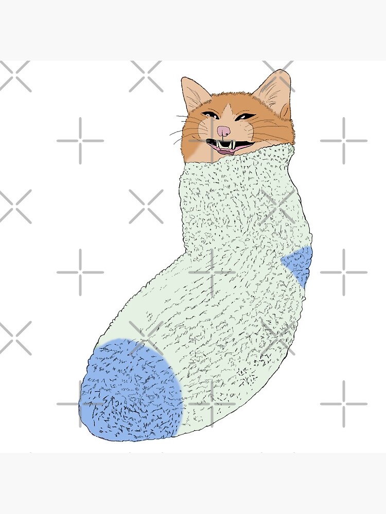"Scrunge Cat in a Sock" Art Print for Sale by TrapperWeasel | Redbubble