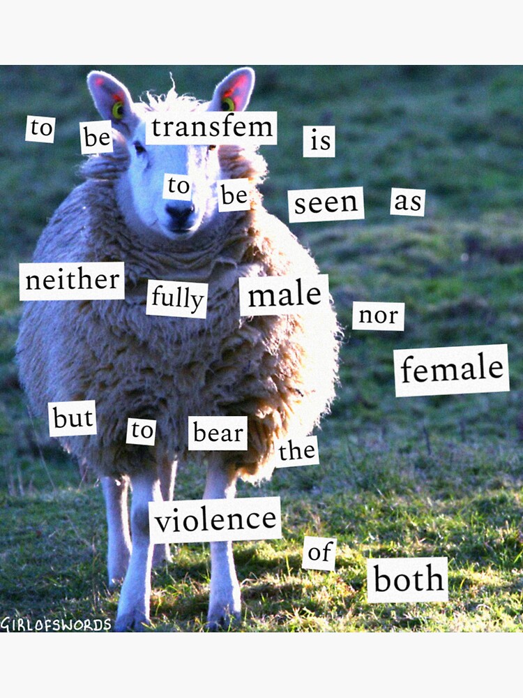 "To be seen as transfem sheep" Sticker for Sale by girlofswords | Redbubble
