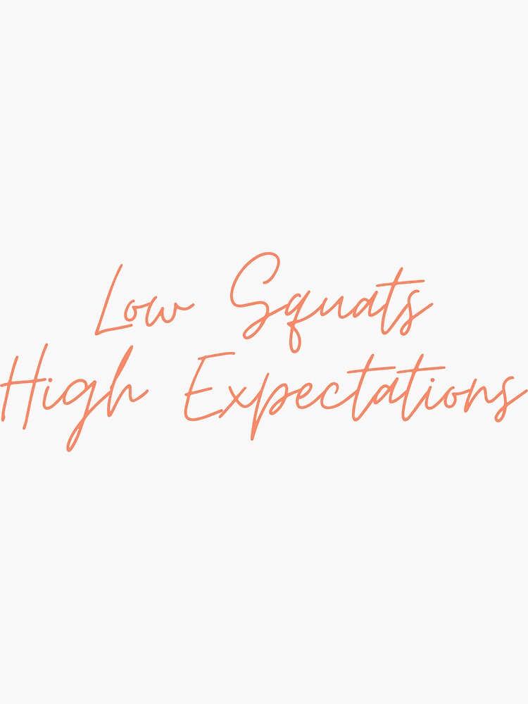 "Low Squats High Expectations " Sticker for Sale by darianedesigns ...