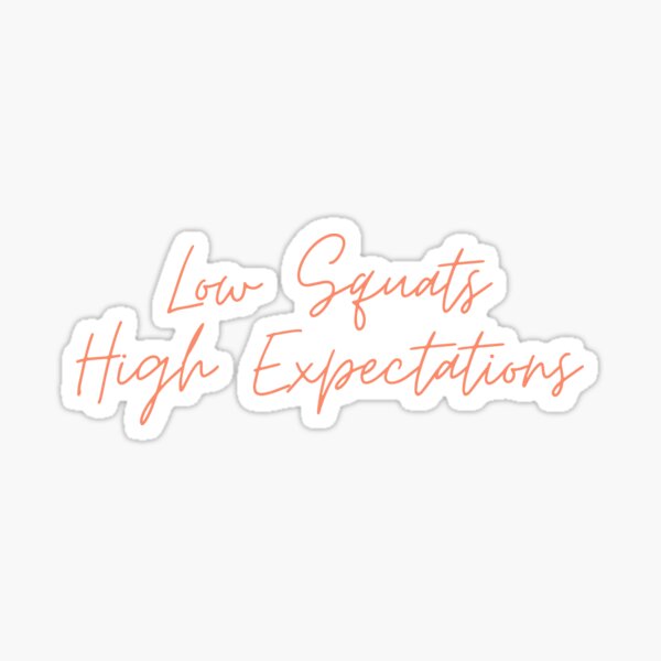 "Low Squats High Expectations " Sticker for Sale by darianedesigns ...