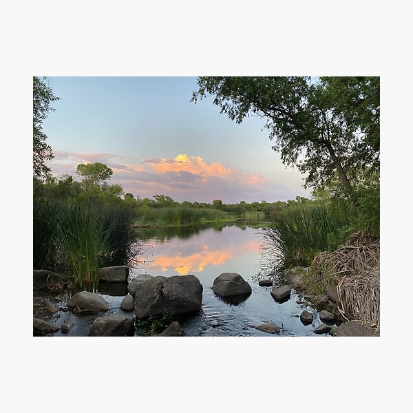 Lámina fotográfica «Lago al atardecer con árboles verdes y juncos» de ...