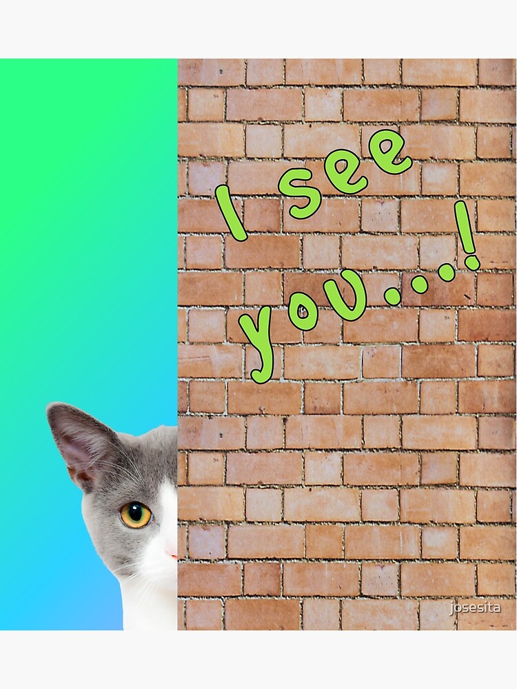 "I see you...! Te estoy viendo...! Je te vois...! Snooper cat" Poster ...