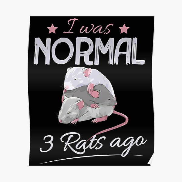 "Normal 3 Rats Ago" Poster by CodeRatto | Redbubble