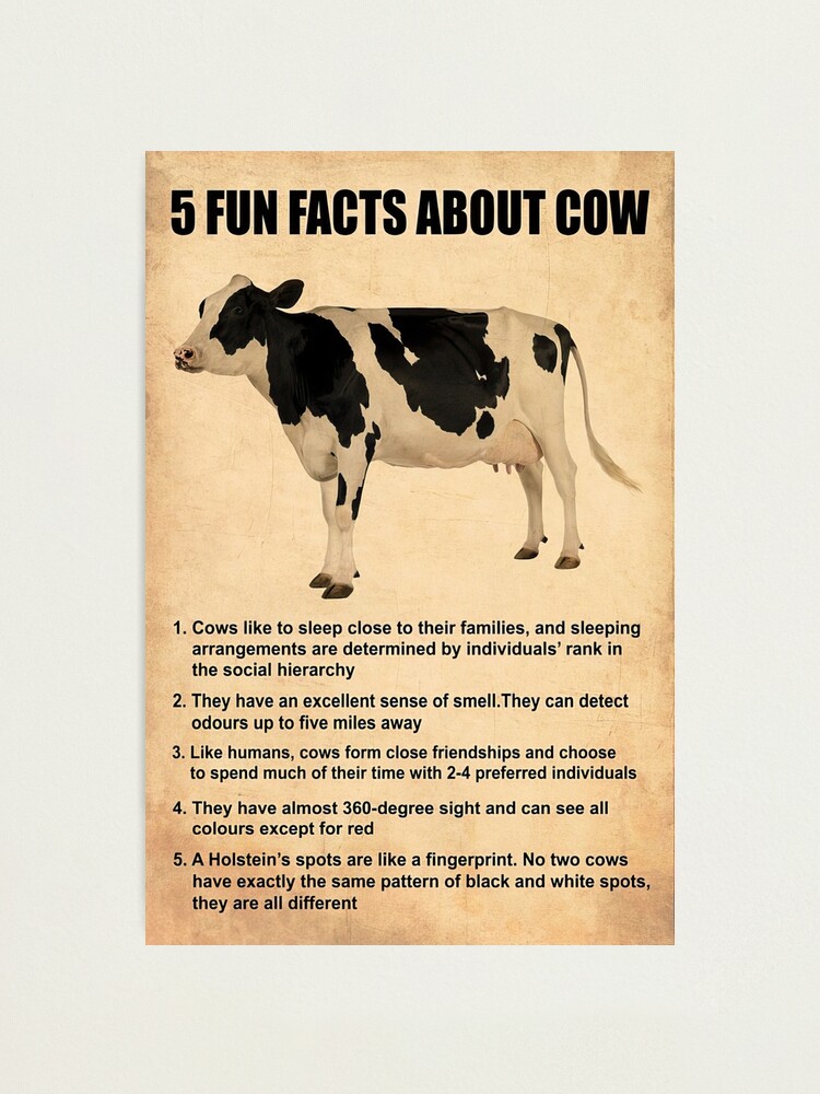 "5 fun Facts About Cow Poster Gift Farmer - Work Cattle Once And You'll ...
