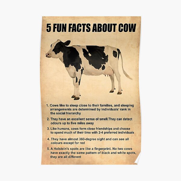 "5 fun Facts About Cow Poster Gift Farmer - Work Cattle Once And You'll ...