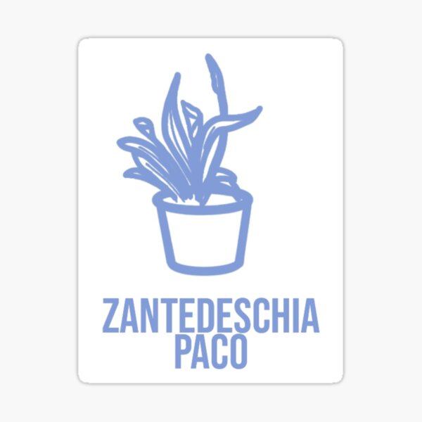 "Calla Lily (Zantedeschia Paco)" Sticker by Spikey-Cactus | Redbubble