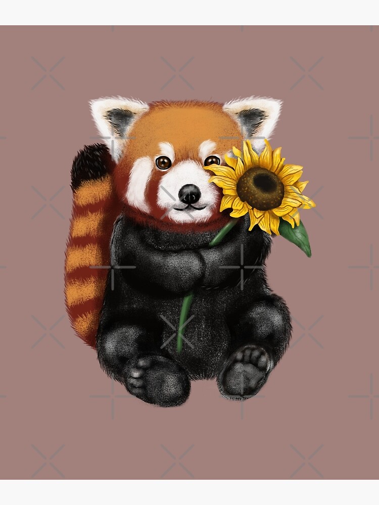 "Cute Red Panda Holding Sunflower" Poster for Sale by Sthyouneed ...