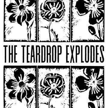 "The Teardrop Explodes T-ShirtThe Teardrop Explodes _ 80s New Wave ...