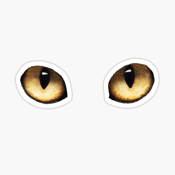"Cat's eye" Sticker for Sale by EraStores | Redbubble