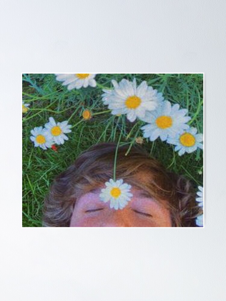 "Karl Jacobs" Poster by butterflyi | Redbubble