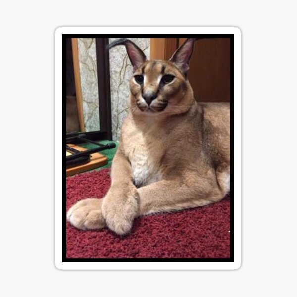 "Big Floppa" Sticker for Sale by ouyoussfyassine | Redbubble