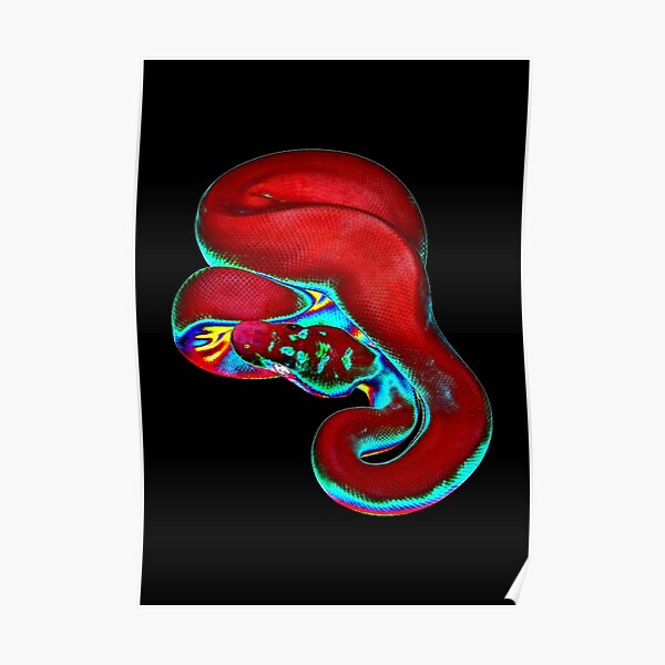 "Dreamtime Rainbow Snake" Poster by SunshineProxy | Redbubble