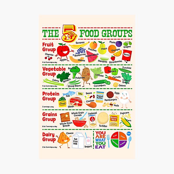 "5 Food Groups Poster" Photographic Print by OscaroGalerie | Redbubble