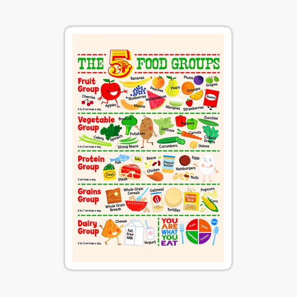 "5 Food Groups Poster" Sticker for Sale by OscaroGalerie | Redbubble