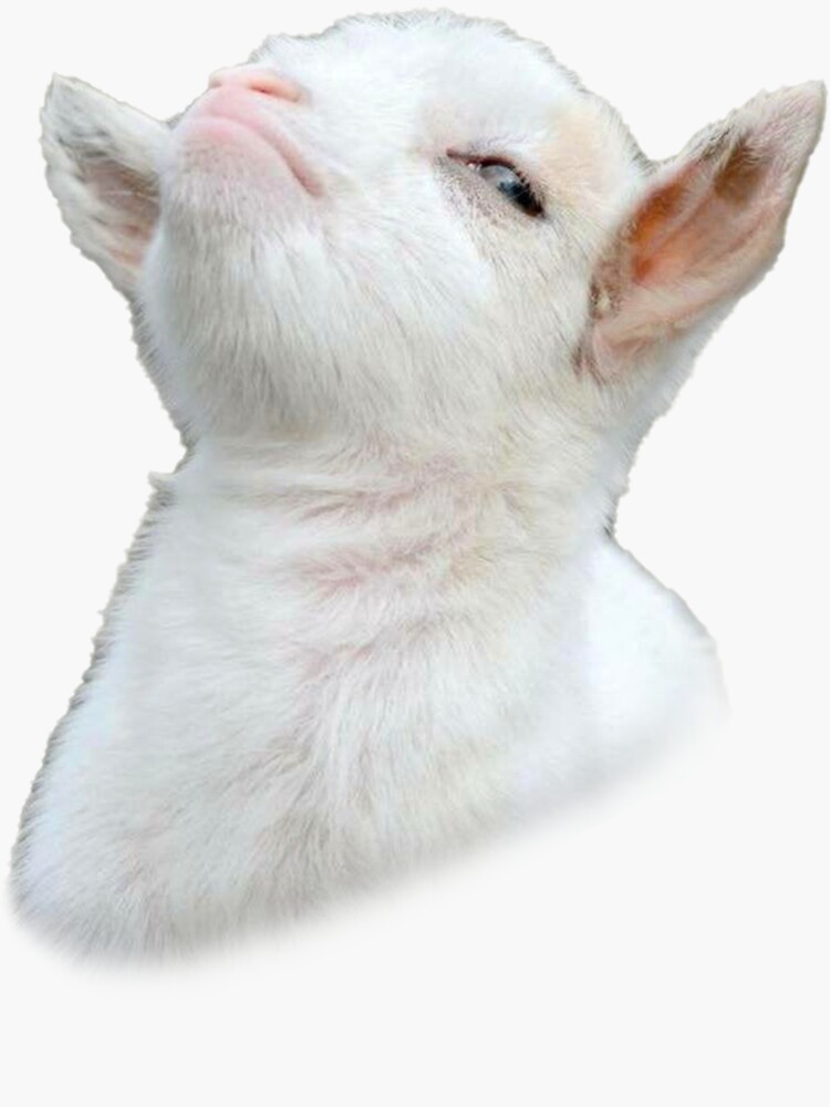 "Smug goat" Sticker for Sale by HelpMePayRent | Redbubble