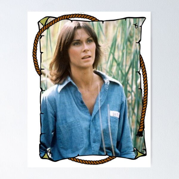 "Charlies Angels Kate Jackson" Poster for Sale by leanne-marie93 ...