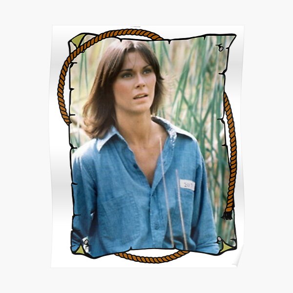 "Charlies Angels Kate Jackson" Poster for Sale by leanne-marie93 ...