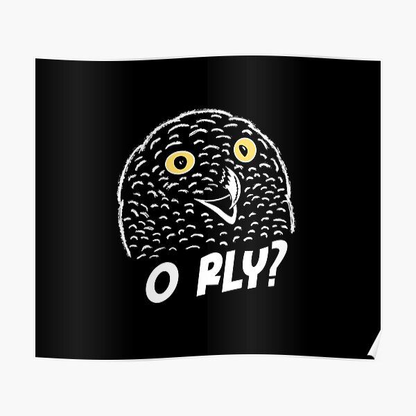 "O RLY owl meme " Poster by MorvernDesigns | Redbubble