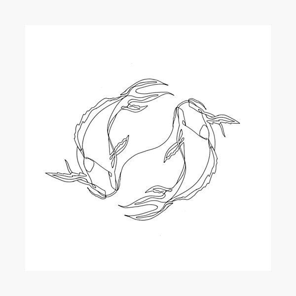 Impression photo « Tui et La (Yin et Yang Koi Fish) Avatar (ATLA ...