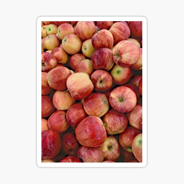 " fruit apple healthy food" Sticker for Sale by Rozanasarmanho | Redbubble