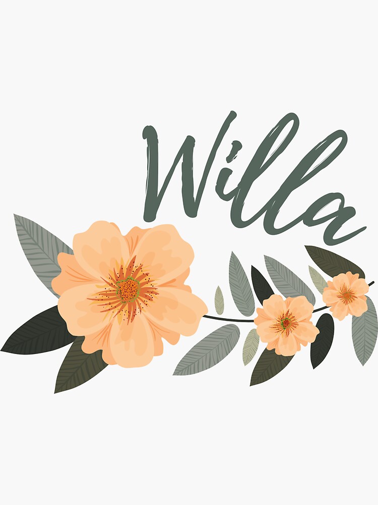 "Willa Name With Pretty Flowers | Name Design Orange And Green Plants ...