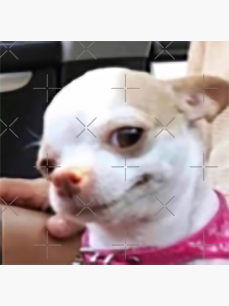 "Funny Dog Meme" Sticker for Sale by Martim Mendes | Redbubble