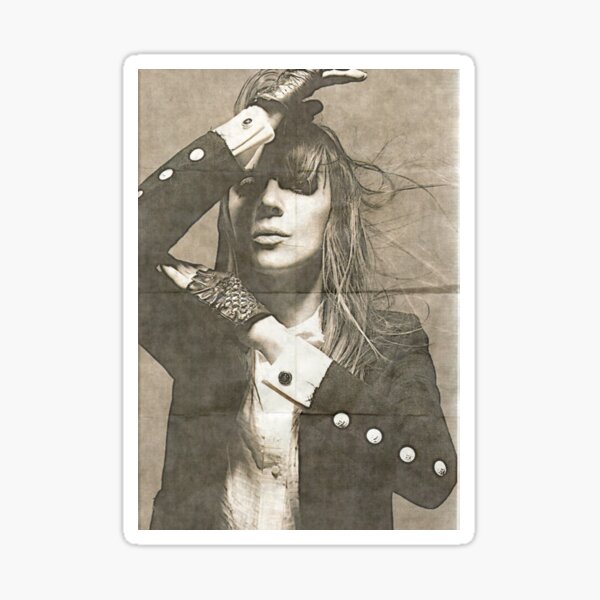 "Cat Power Tribute Poster" Sticker for Sale by CitiesonWalls | Redbubble