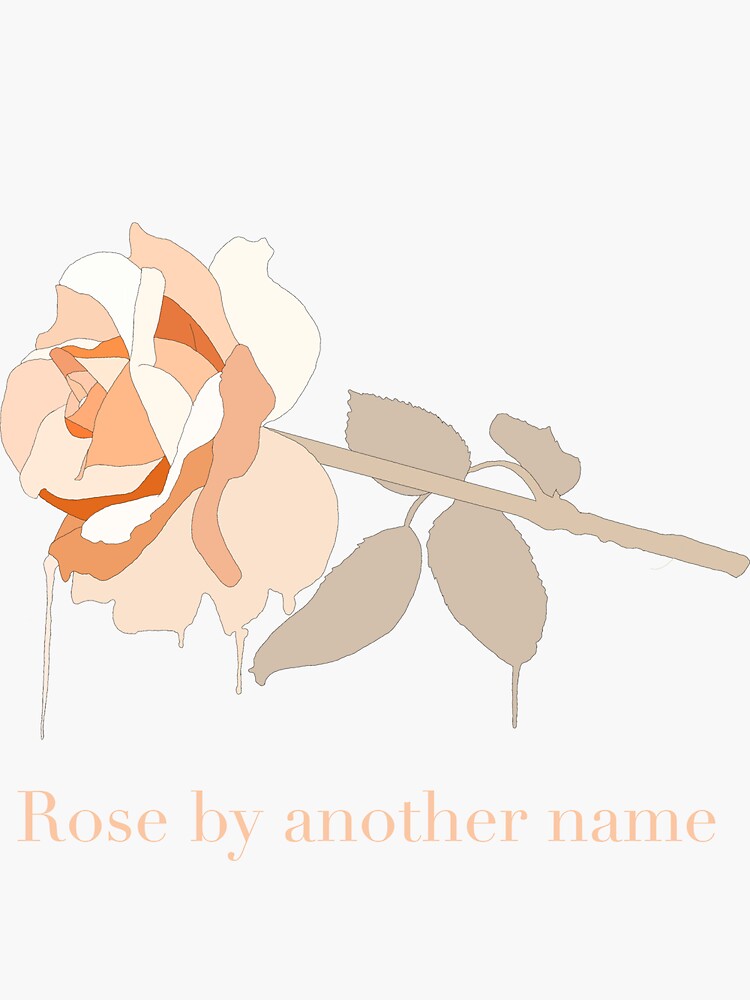 "Peach pink dripping rose" Sticker for Sale by jasibasi | Redbubble
