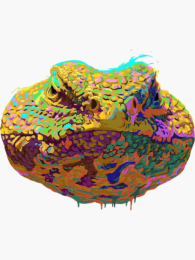 "Splash Lizard Uromastyx " Sticker for Sale by zukalmpro | Redbubble