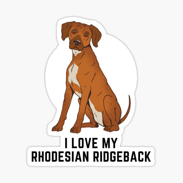 "I Love My Rhodesian Ridgeback" Sticker for Sale by NiftyTees | Redbubble